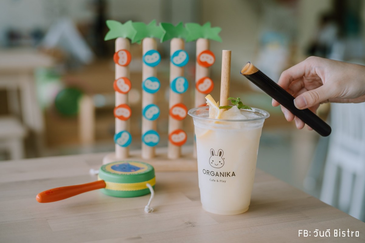Organika Cafe & Play คาเฟ่ออร์แกนิค พร้อมกิจกรรมชิคๆ สำหรับน้องหนู